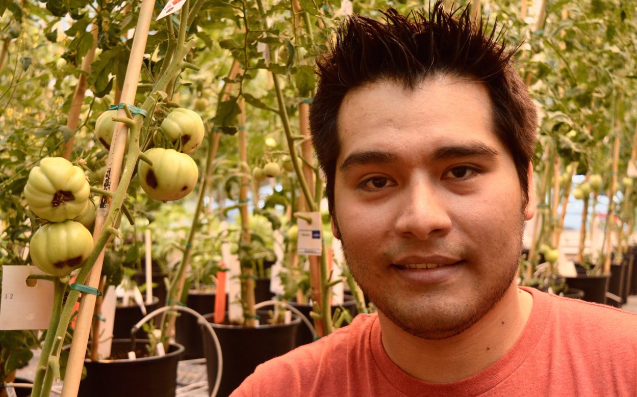 Pew Trusts name CSHL’s Daniel Rodríguez-Leal a Latin American Fellow in ...