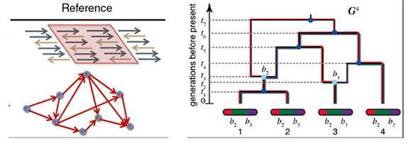 Quantitative Biology - Cold Spring Harbor Laboratory