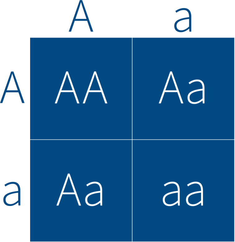 Dog adaptations are like brain adaptations | Cold Spring Harbor Laboratory