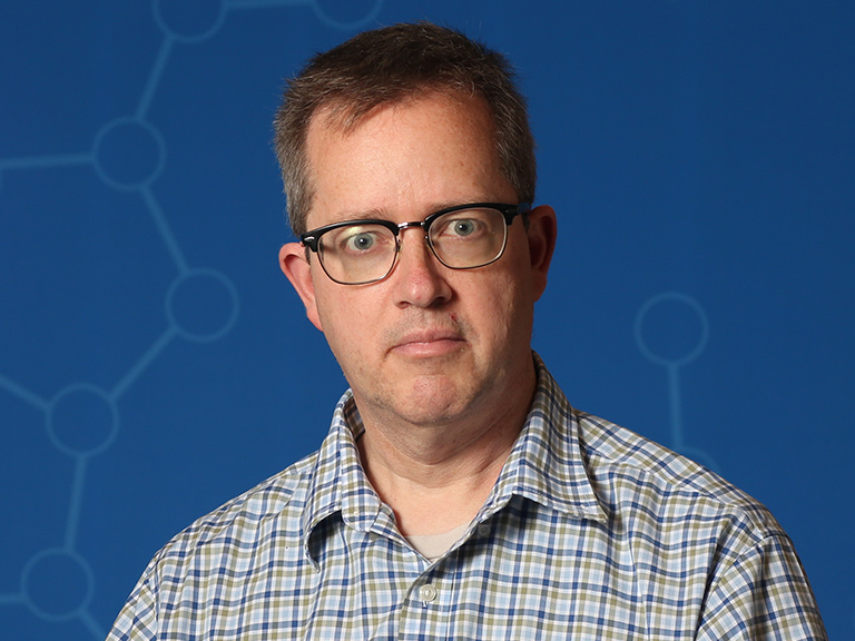 Research reveals first glimpse of a brain circuit that helps experience ...