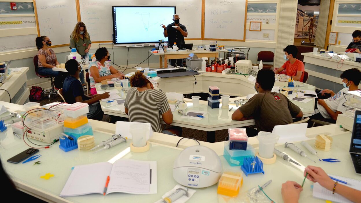 A cure to achieve diversity in STEM education | Cold Spring Harbor ...