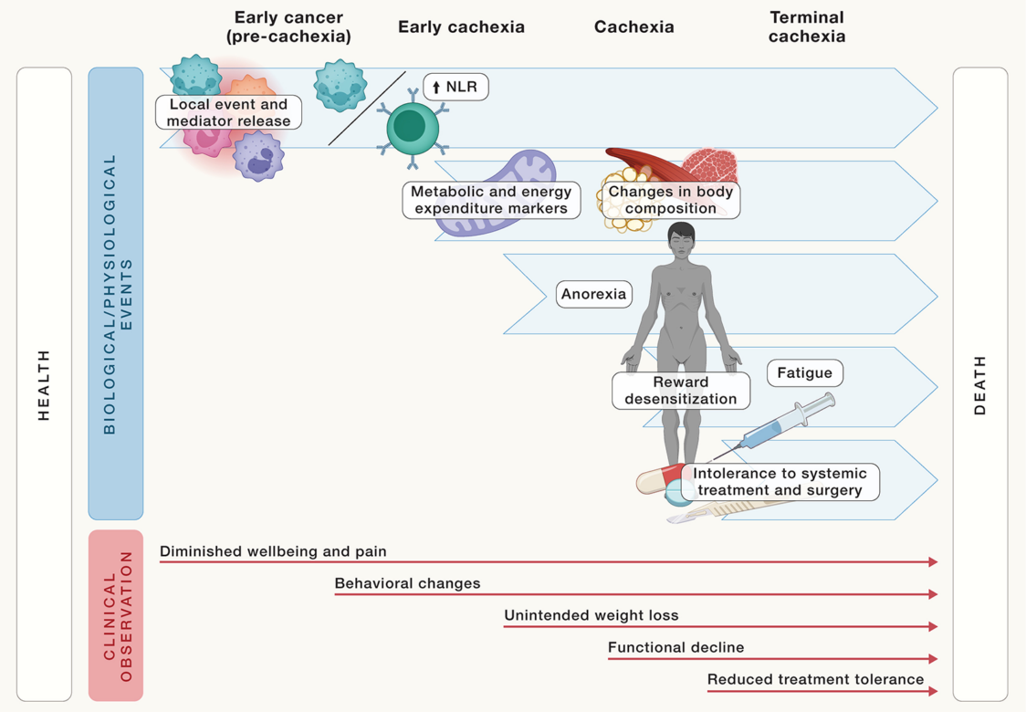 The latest weapon against cancer is ... a keto diet? | Cold Spring ...