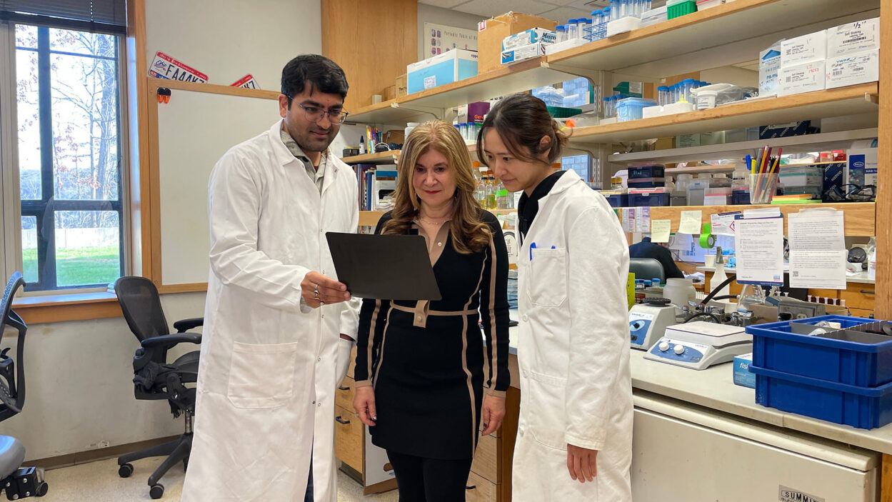 Dream big: A powerful vision for CSHL research | Cold Spring Harbor ...