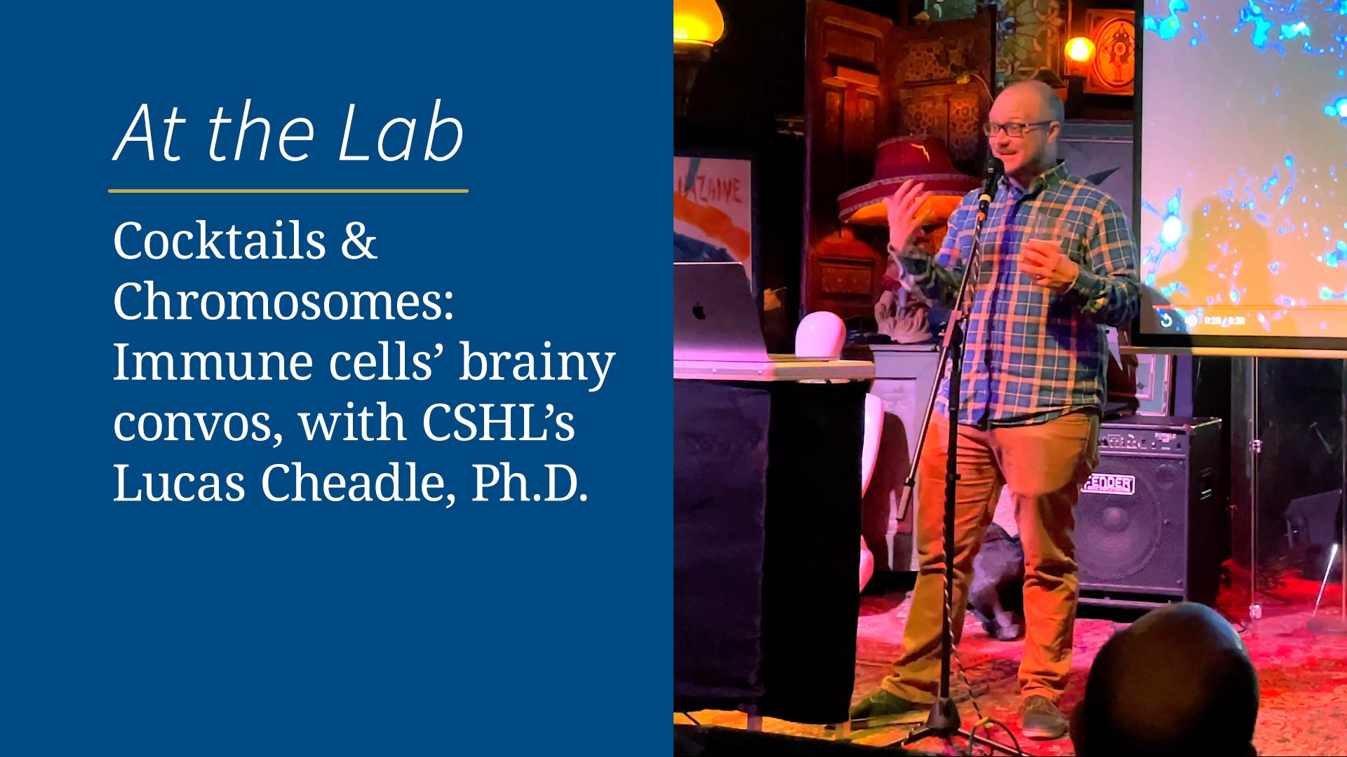 Cocktails & Chromosomes: Immune cells’ brainy convos | Cold Spring ...