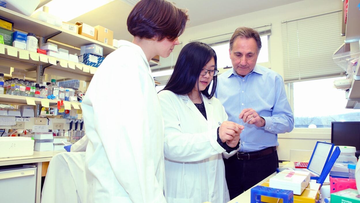 Bokep info tobrut that was my initial experience engaging