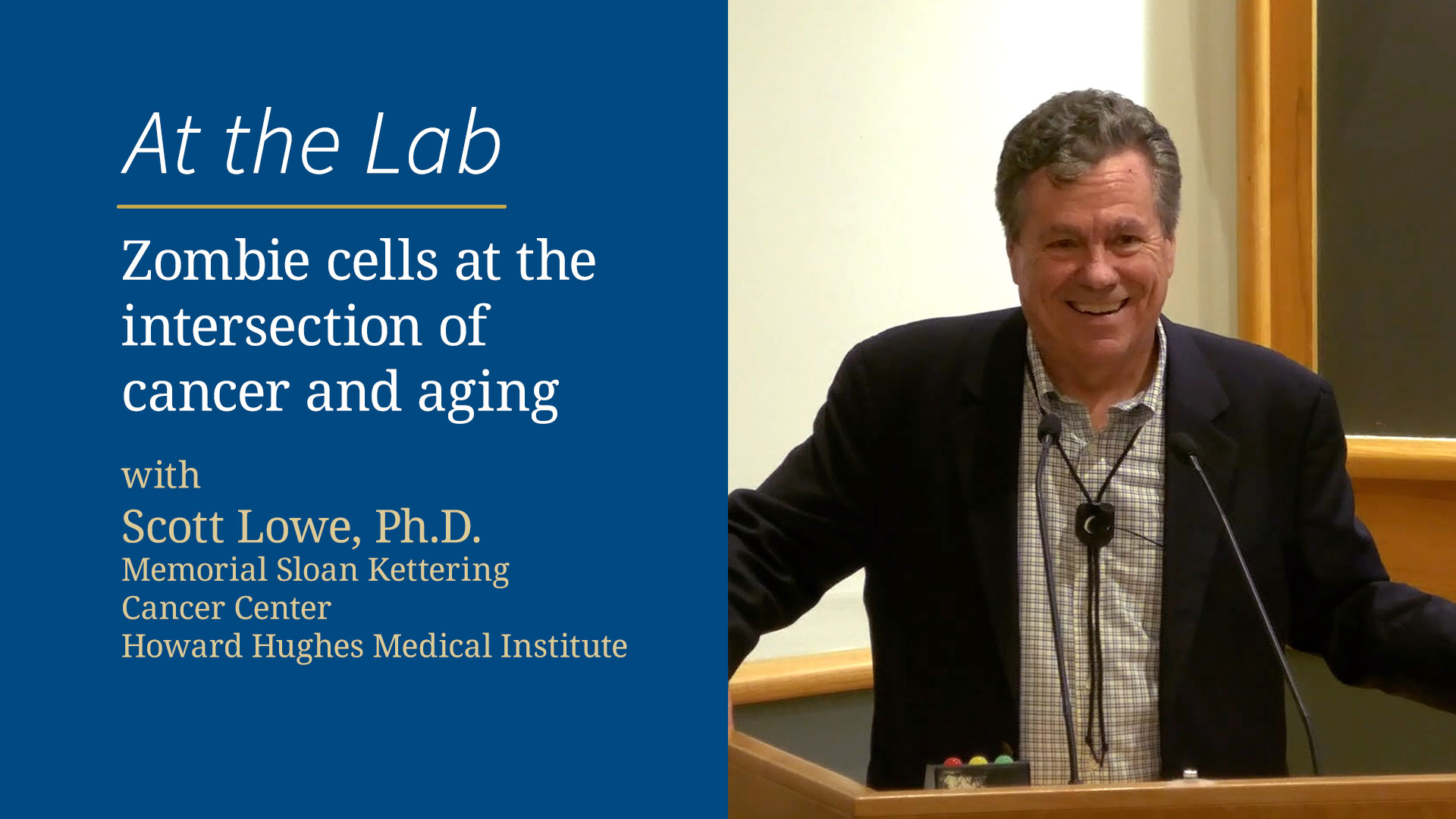 Zombie cells: The intersection of cancer and aging | Cold Spring Harbor ...